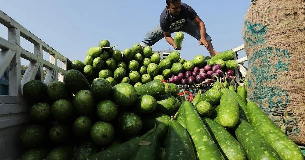 Bebshapath – Learn Business, Grow Wealth