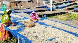 Bebshapath – Learn Business, Grow Wealth